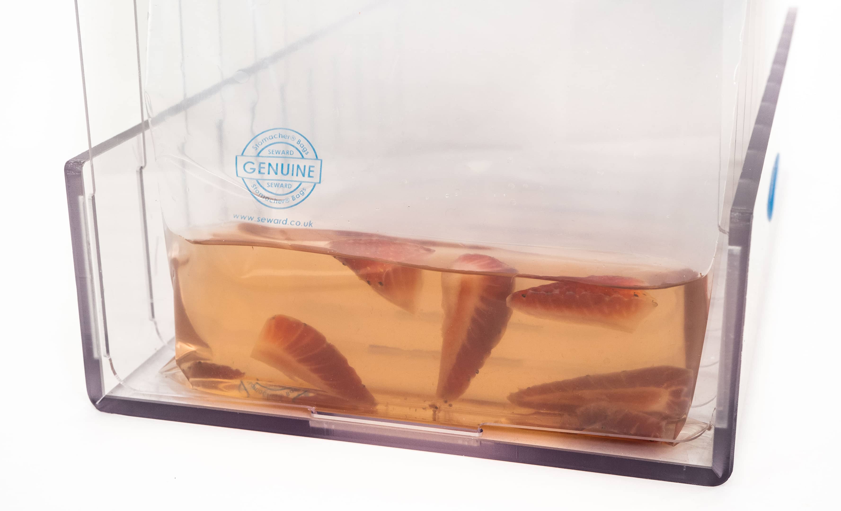 Stomacher® 400 Bag Rack | Seward