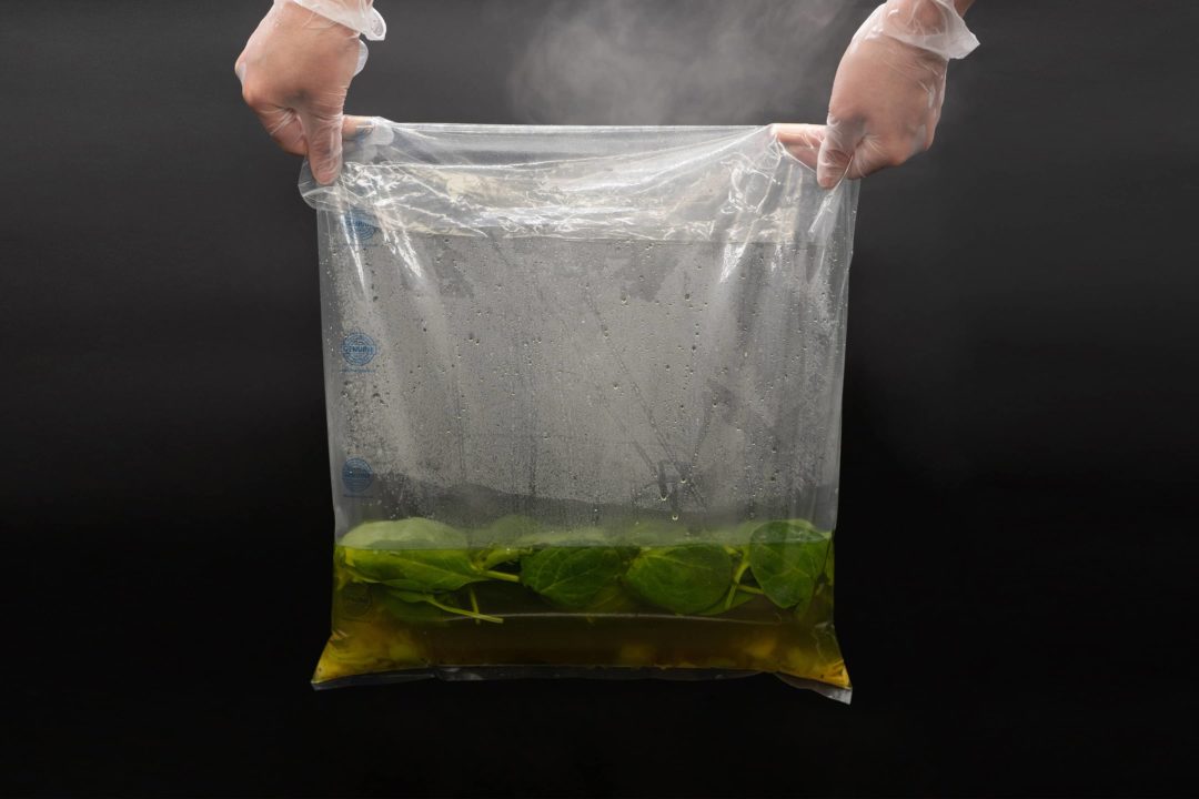 Stomacher® 3500 Autoclavable Blender Bag | Seward