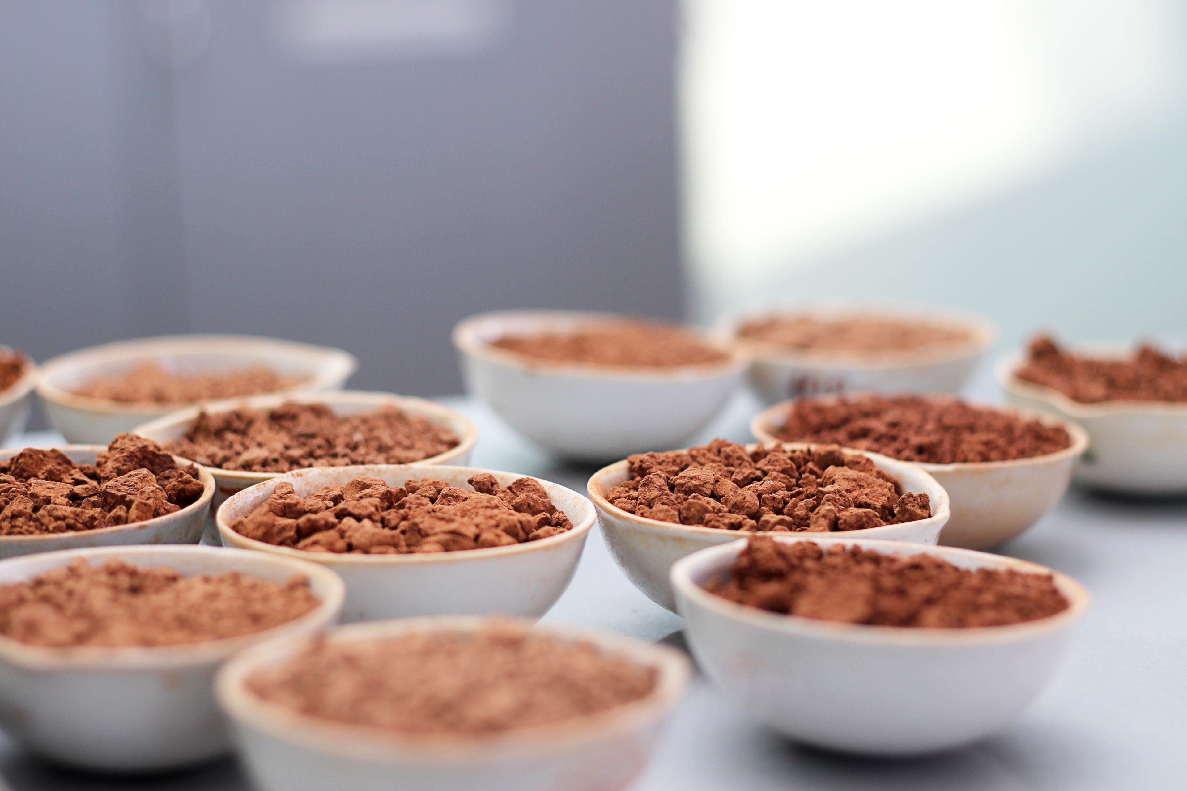 Enumeration and Identification of Bacterial Spores in Cocoa Powders ...